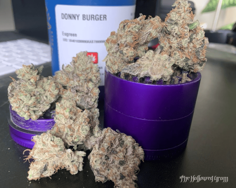 Dining Out With Deliciously Dank Donny Burger Strain