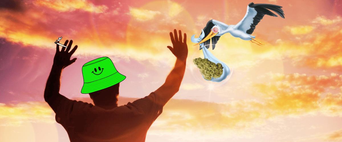 Explained: How Cannabis Strains Get Their Names