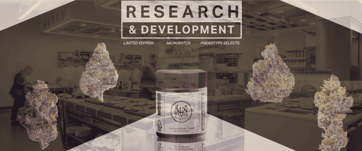 French Laundry Strain By Maven Genetics Now Just "FKAFL"